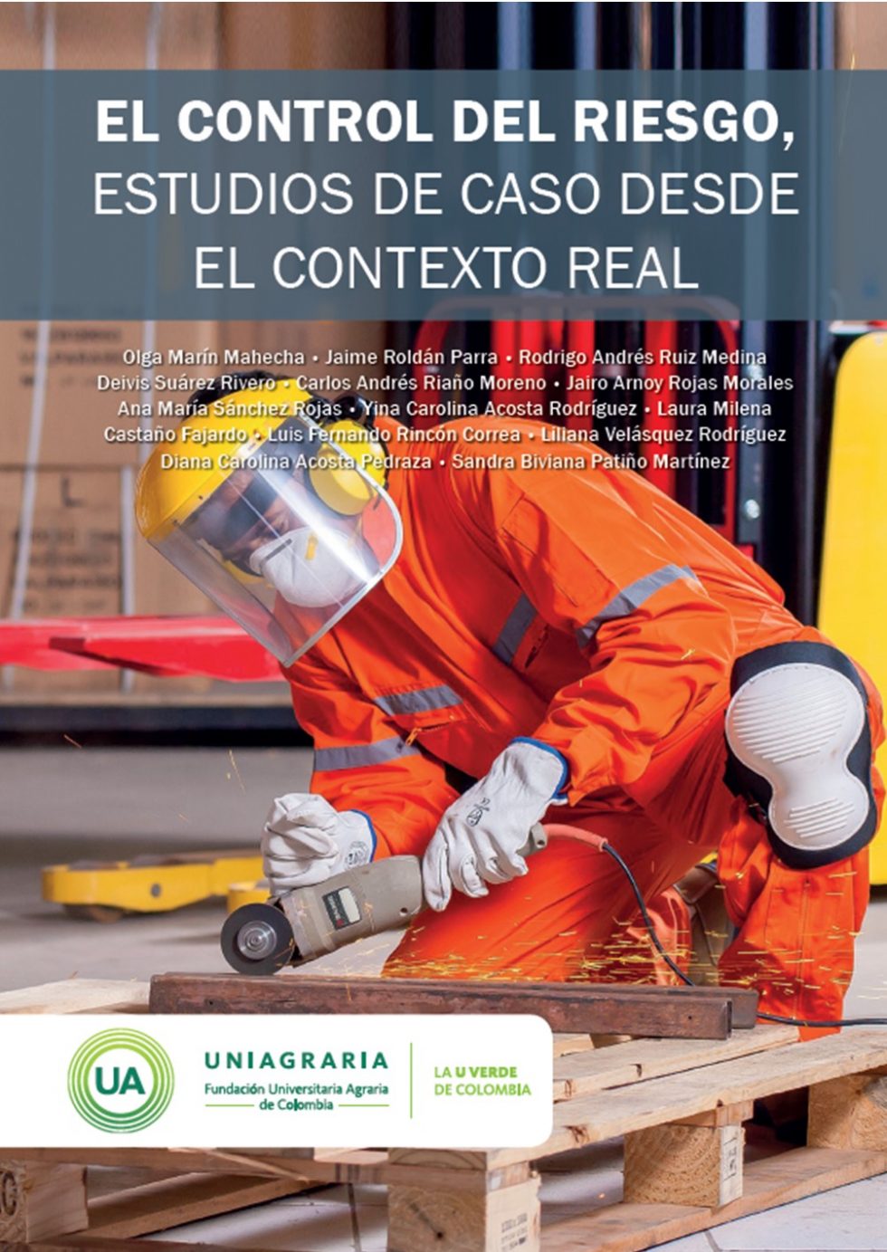 EL CONTROL DEL RIESGO, ESTUDIOS DE CASO DESDE EL CONTEXTO REAL | Arba ...