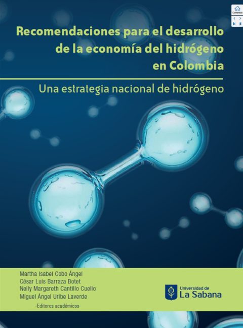 RECOMENDACIONES PARA EL DESARROLLO DE LA ECONOMÍA DEL HIDRÓGENO EN COLOMBIA. UNA ESTRATEGIA ...